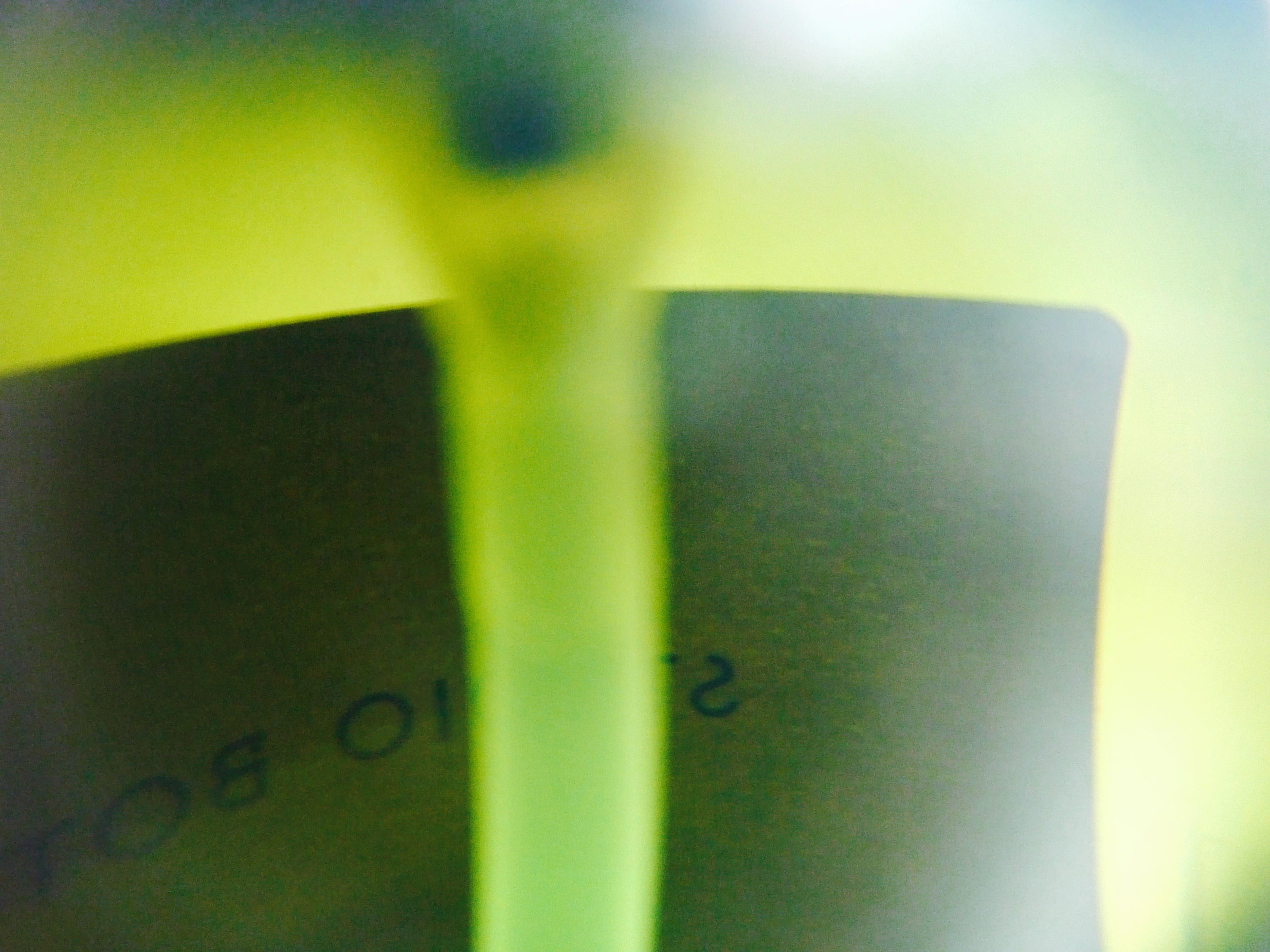 Studio Botanic @ The Beauty Garden